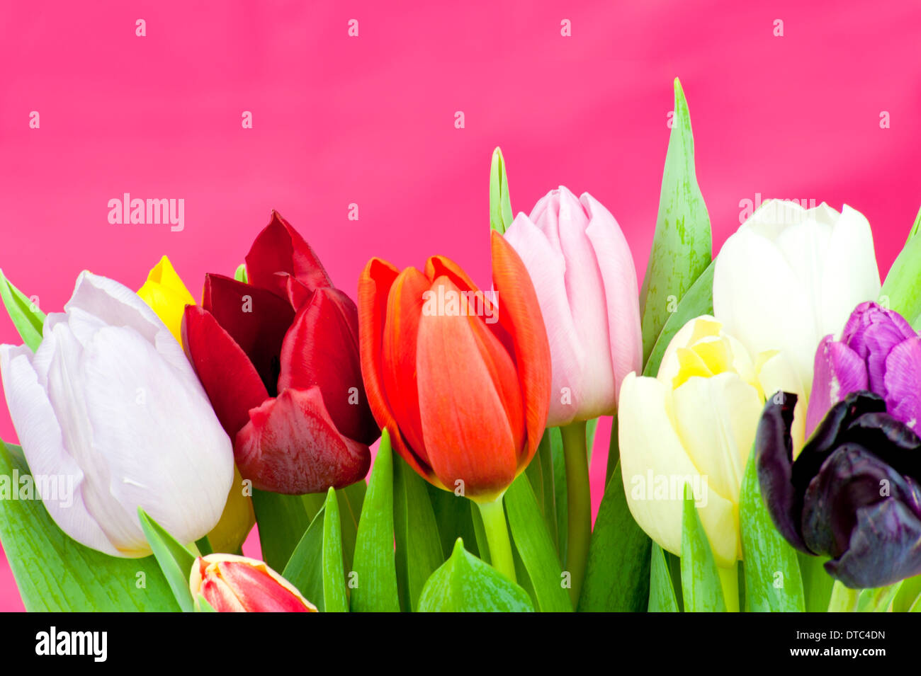 Assorted floral bouquet hi-res stock photography and images - Alamy