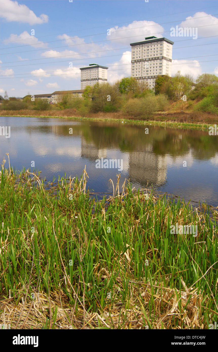 High rise flats behind the Forth and Clyde Canal at Firhill Basin in ...