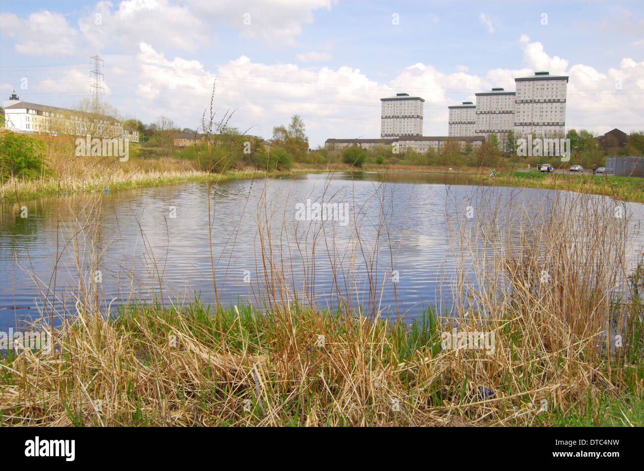 High rise flats behind the Forth and Clyde Canal at Firhill Basin in ...