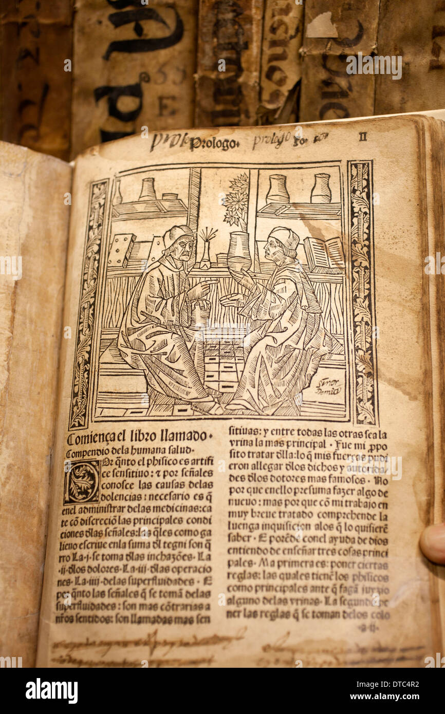 Incunable book Johannes de Ketham. Compendio de la salud humana. Author ...