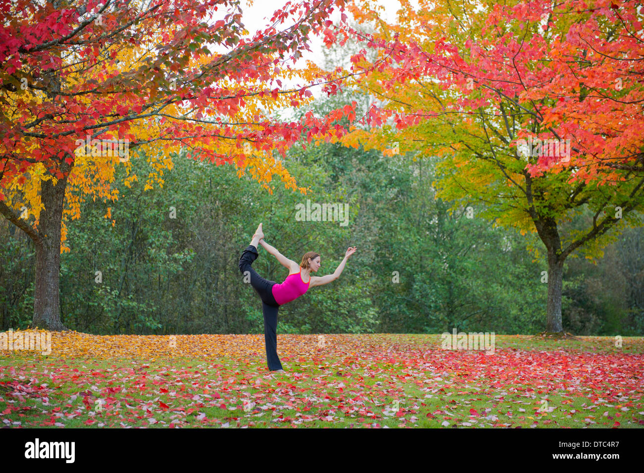 Bending tree pose hi-res stock photography and images - Alamy