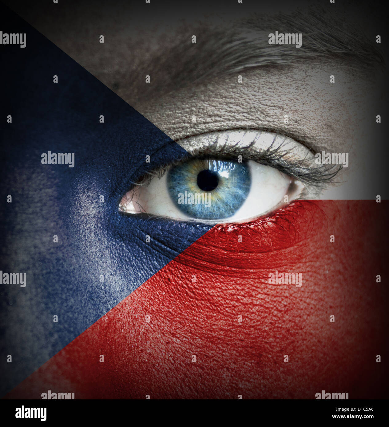 Flag of chezch republic hi-res stock photography and images - Alamy