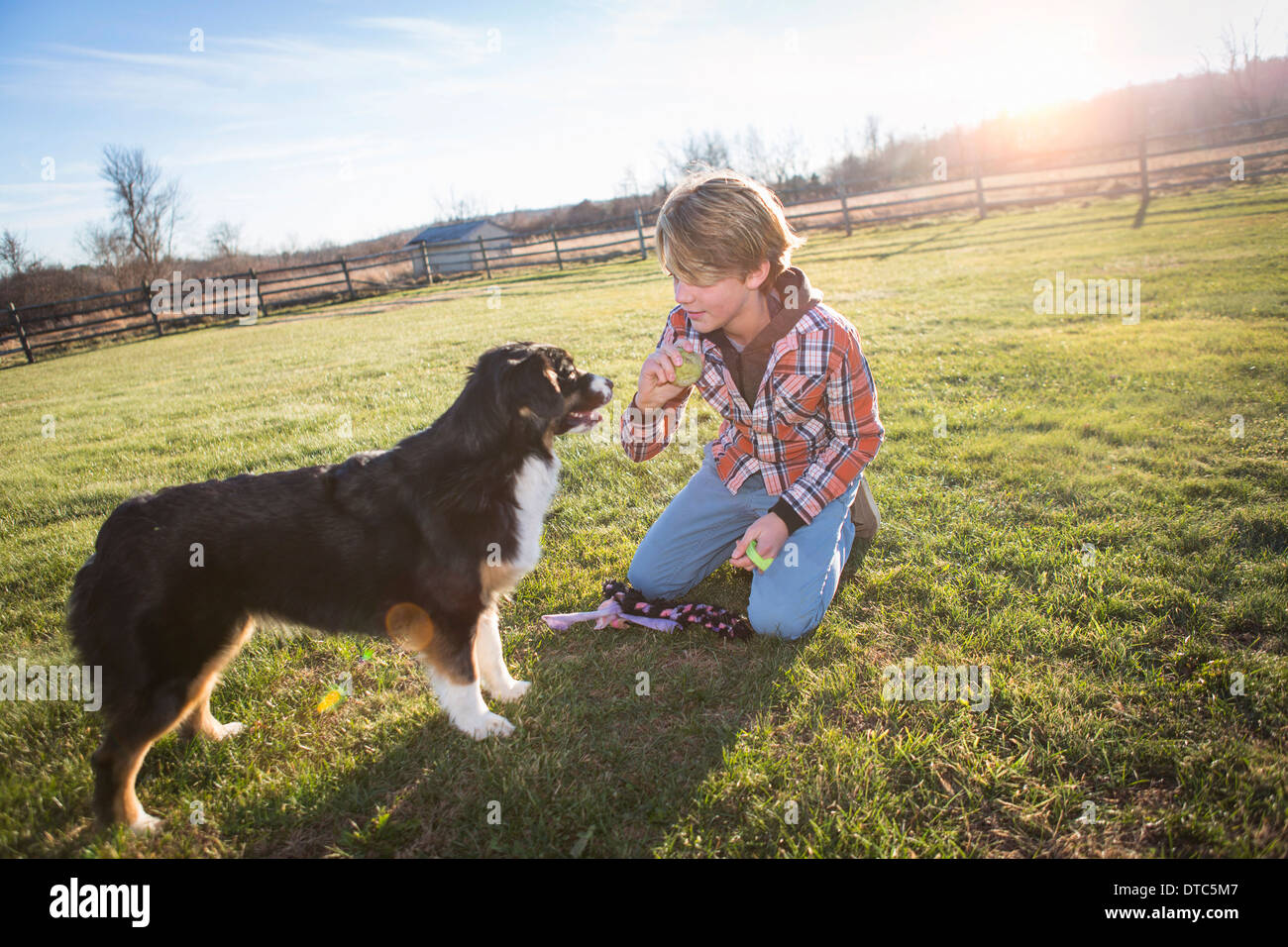 How To Train A Stock Dog