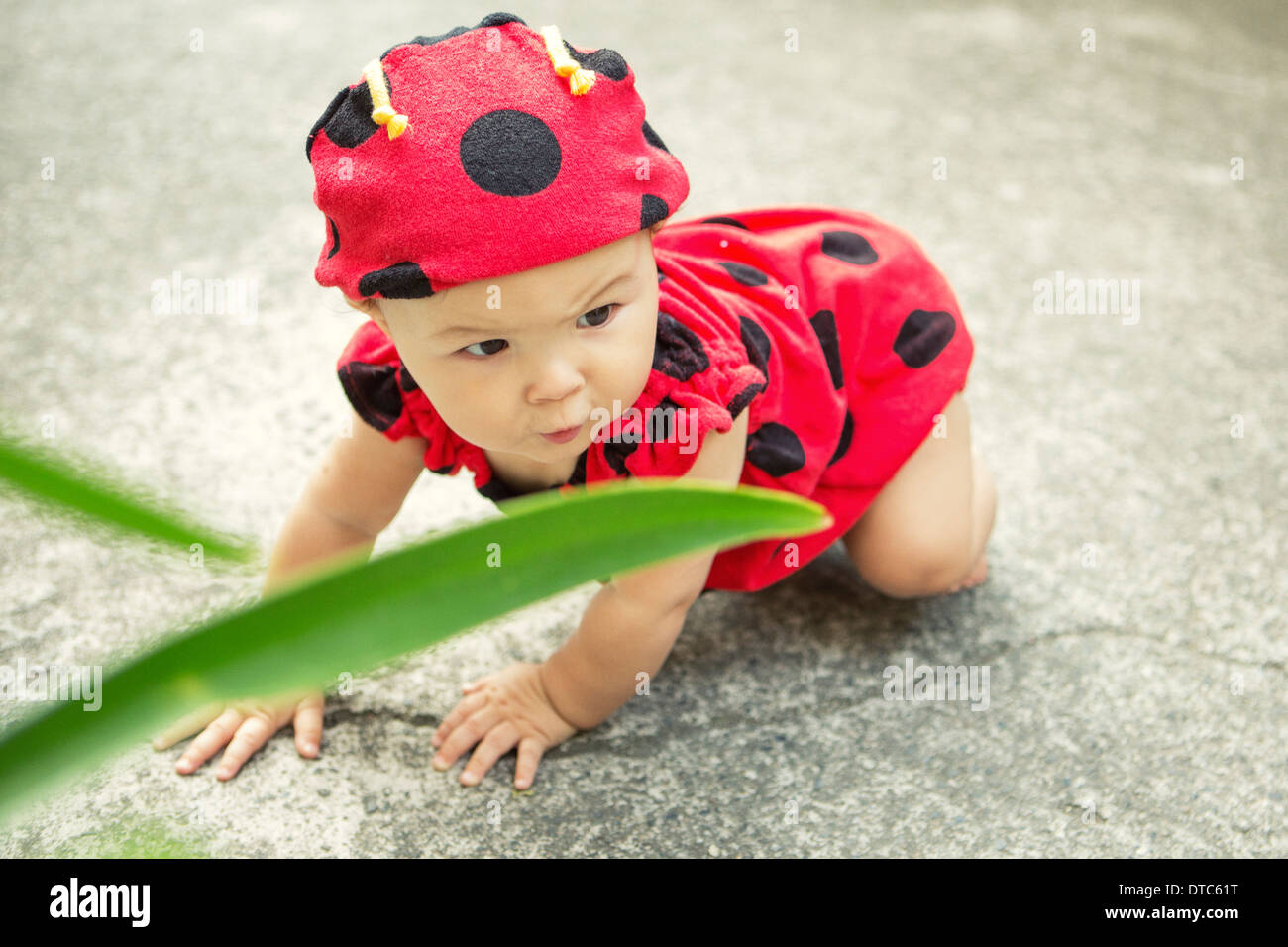 Black baby wearing costume hi-res stock photography and images - Alamy