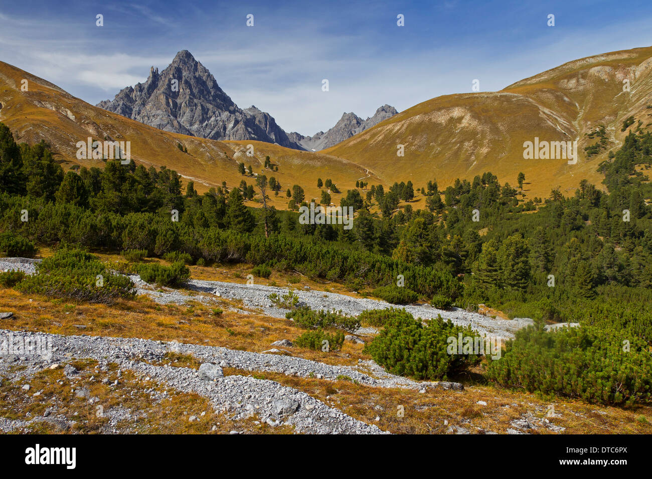 Mount Piz Plavna Dadaint at Val Mingèr, Swiss National Park at ...
