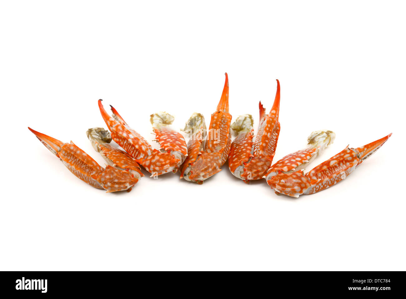 Leg of crab hi-res stock photography and images - Alamy
