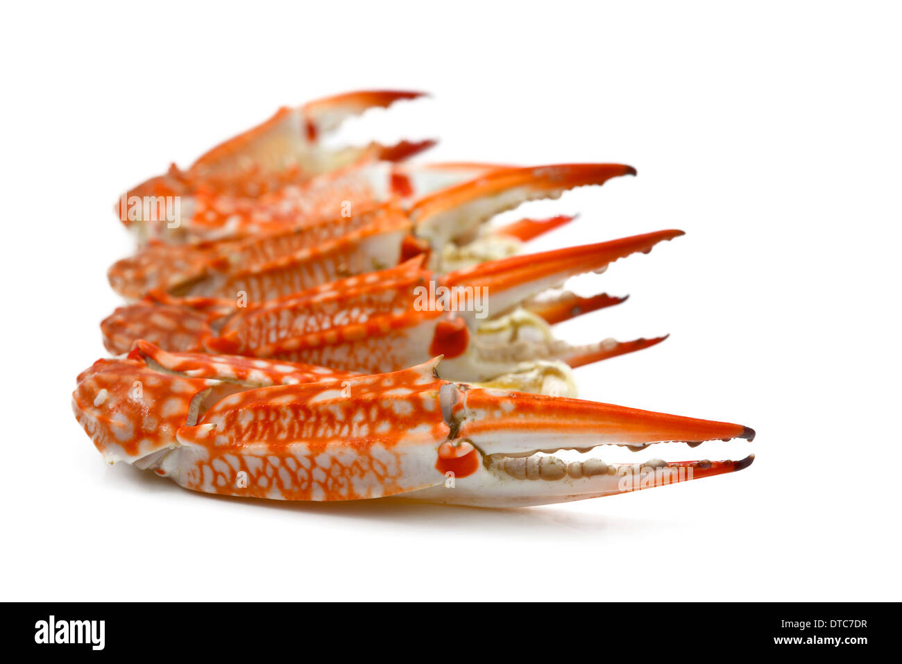 Leg of crab hi-res stock photography and images - Alamy