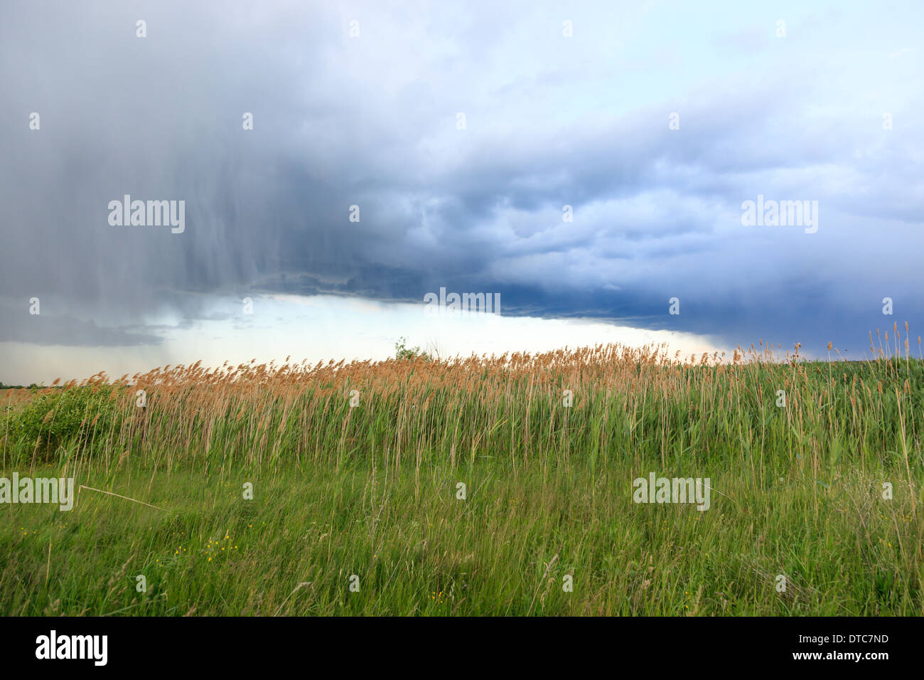 Before rain hi-res stock photography and images - Alamy