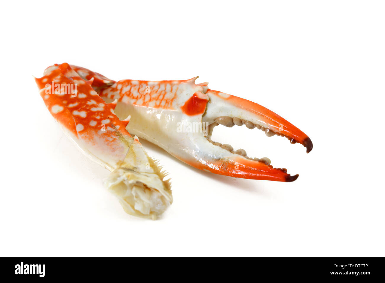 Leg of crab hi-res stock photography and images - Alamy
