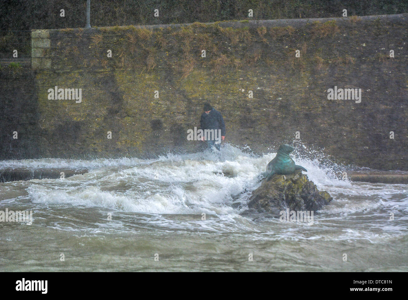 Looe, Cornwall, UK, 14 Feb 2014 Waves & Flooding hit Looe. A gentalmen ...