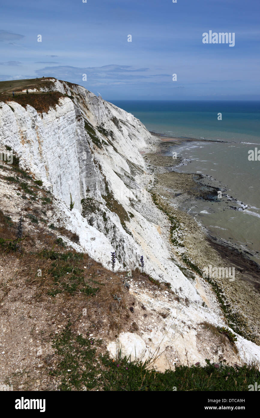 Coastal erosion at chalk cliffs of Beachy Head , near Eastbourne , East ...