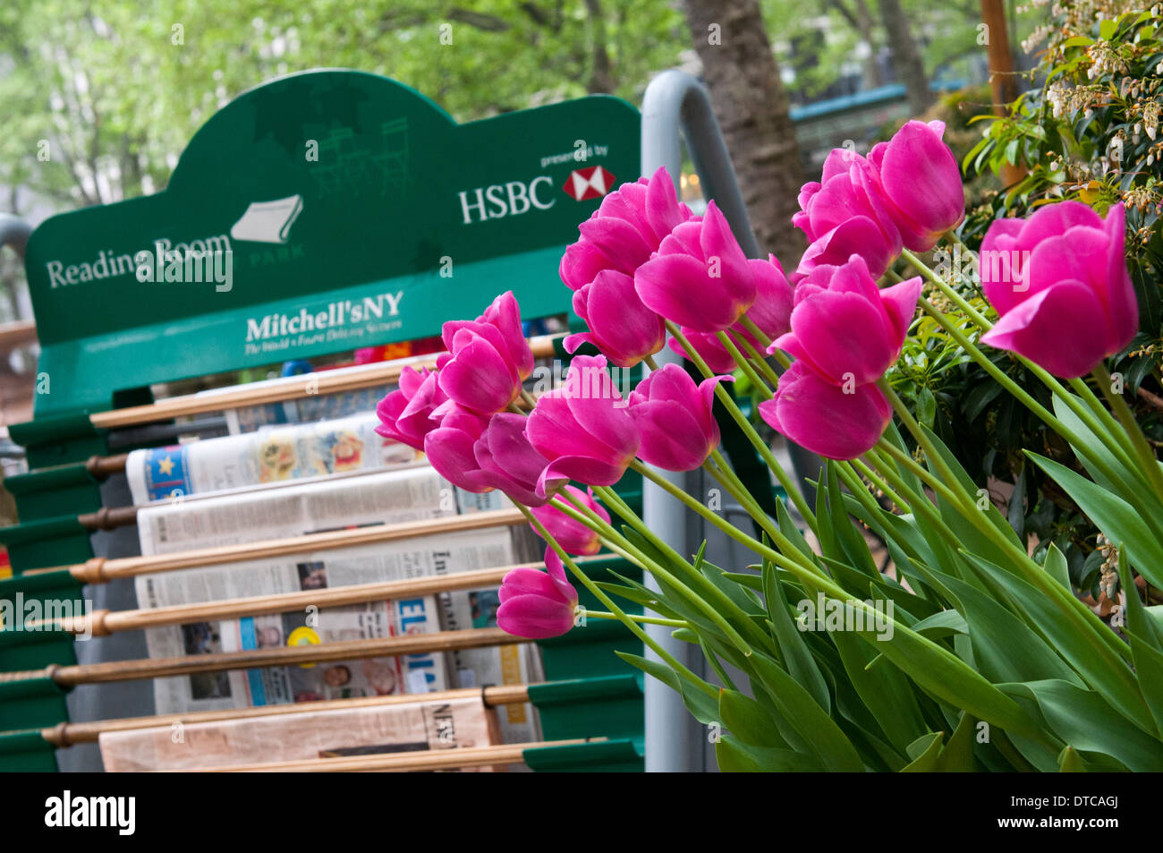 Reading Room Botanica at Dara Patao blog