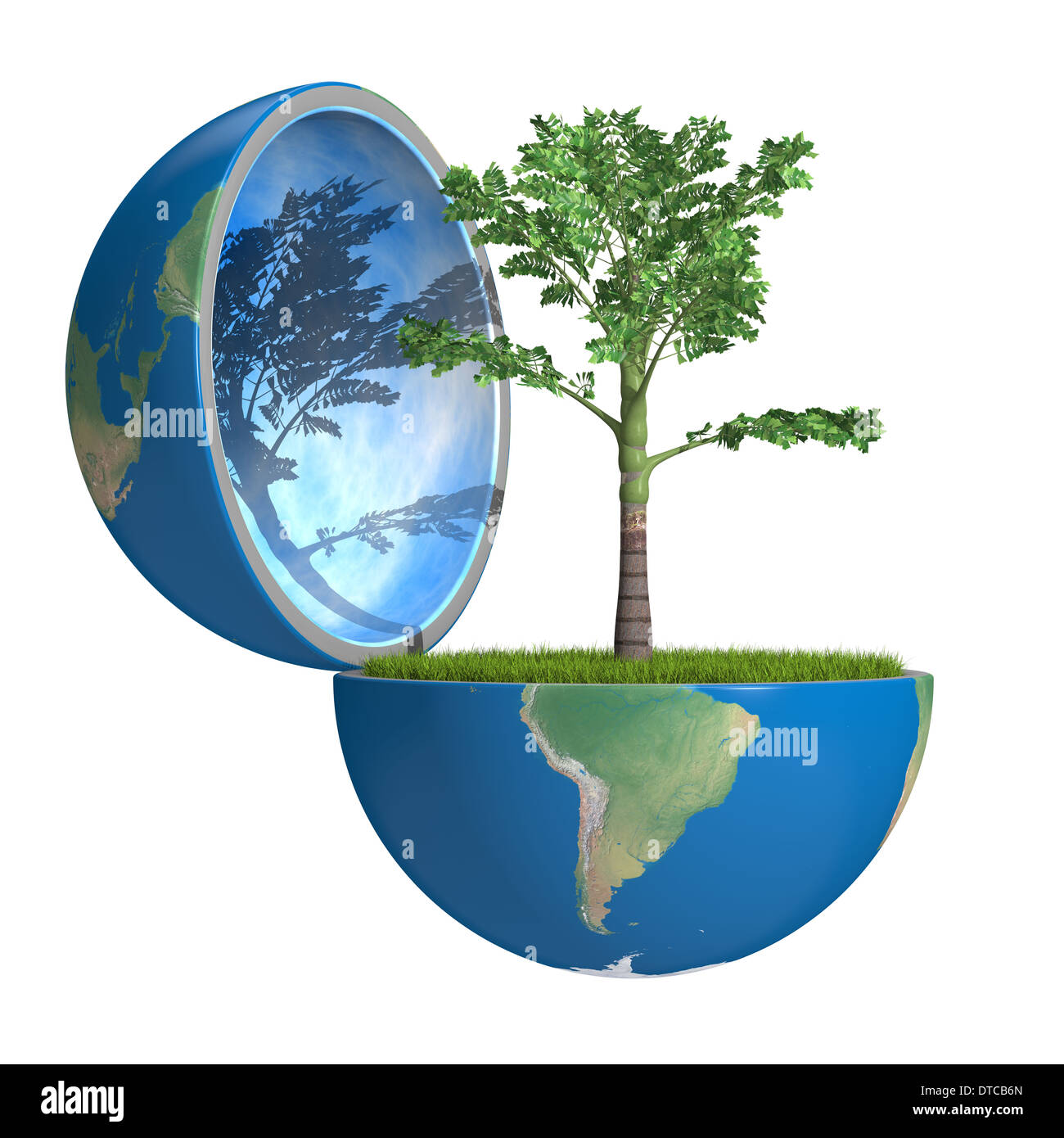 Palm tree growing inside opened planet Earth, isolated on white ...