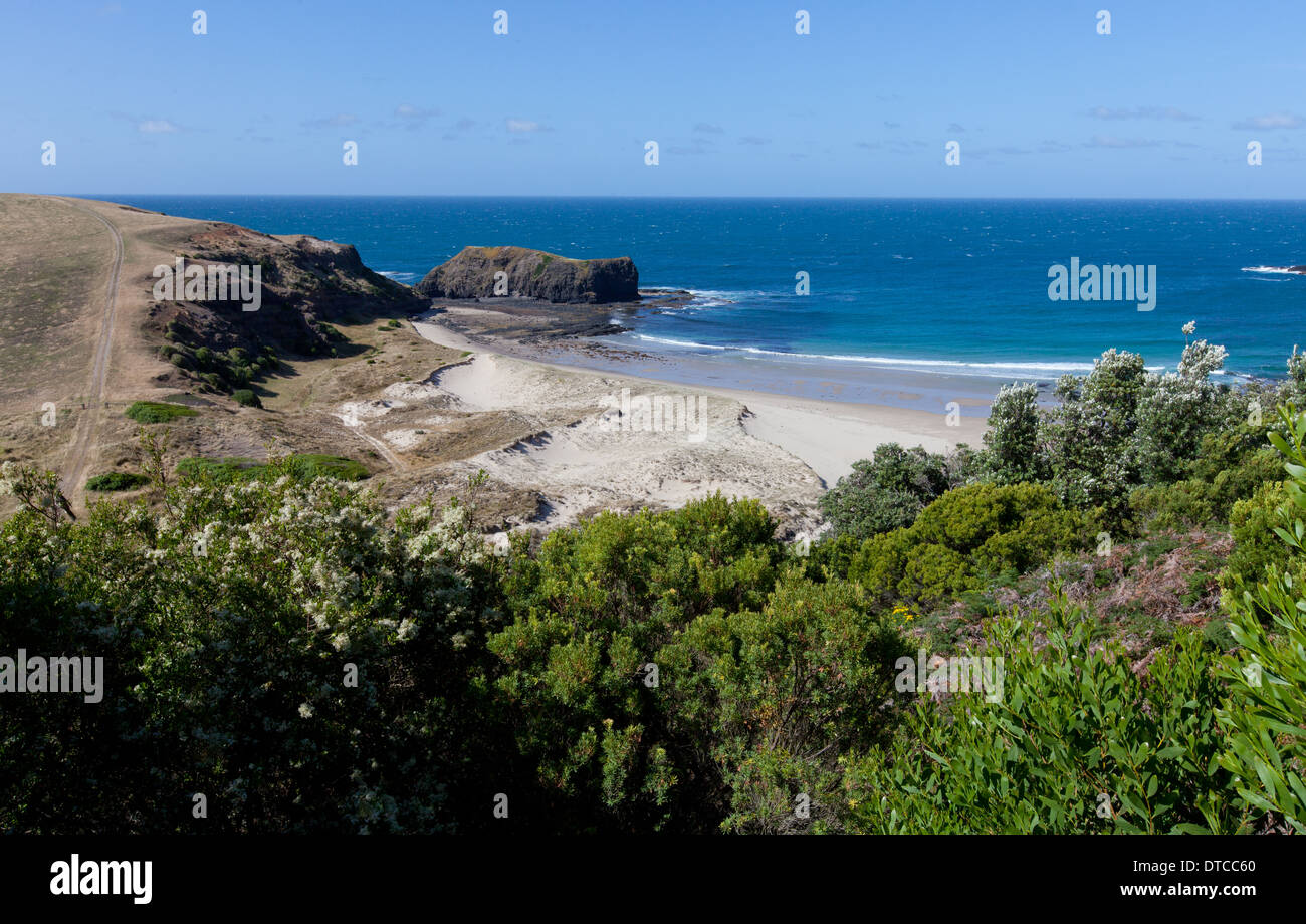 View over Bushrangers Bay near Cape Schanck, Victoria, Australia Stock ...