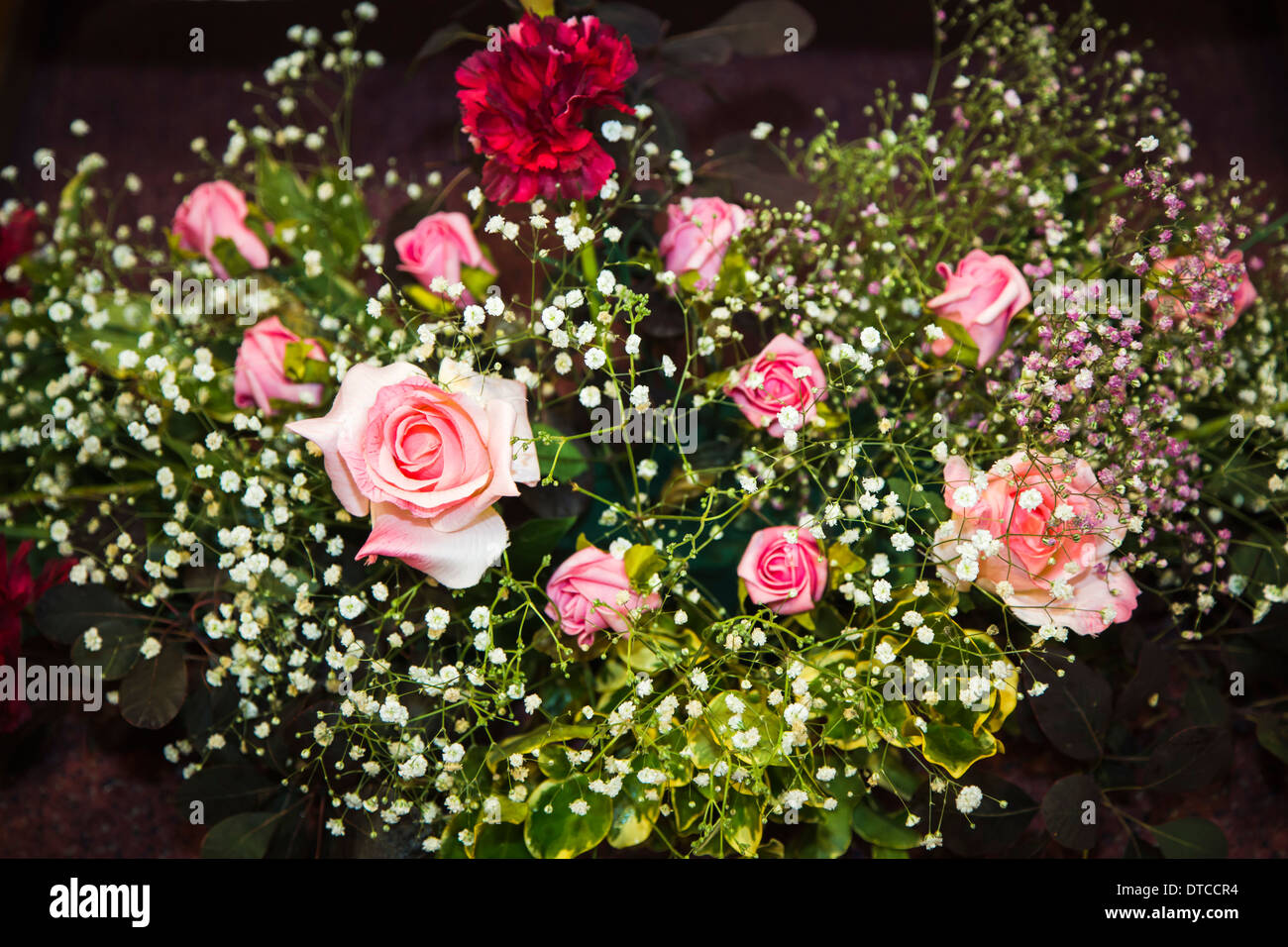 Red rose and gypsophila hi-res stock photography and images - Alamy