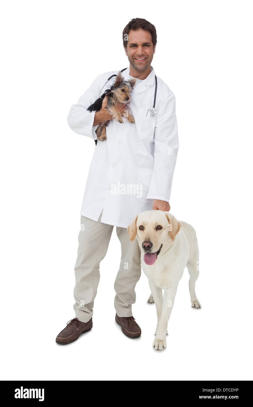 Happy vet smiling at camera with yorkshire terrier and yellow labrador ...
