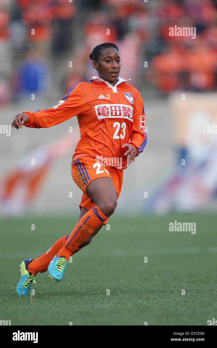 Saitama, Japan. 23rd Dec, 2013. Tiffany McCarty (Albirex Ladies ...