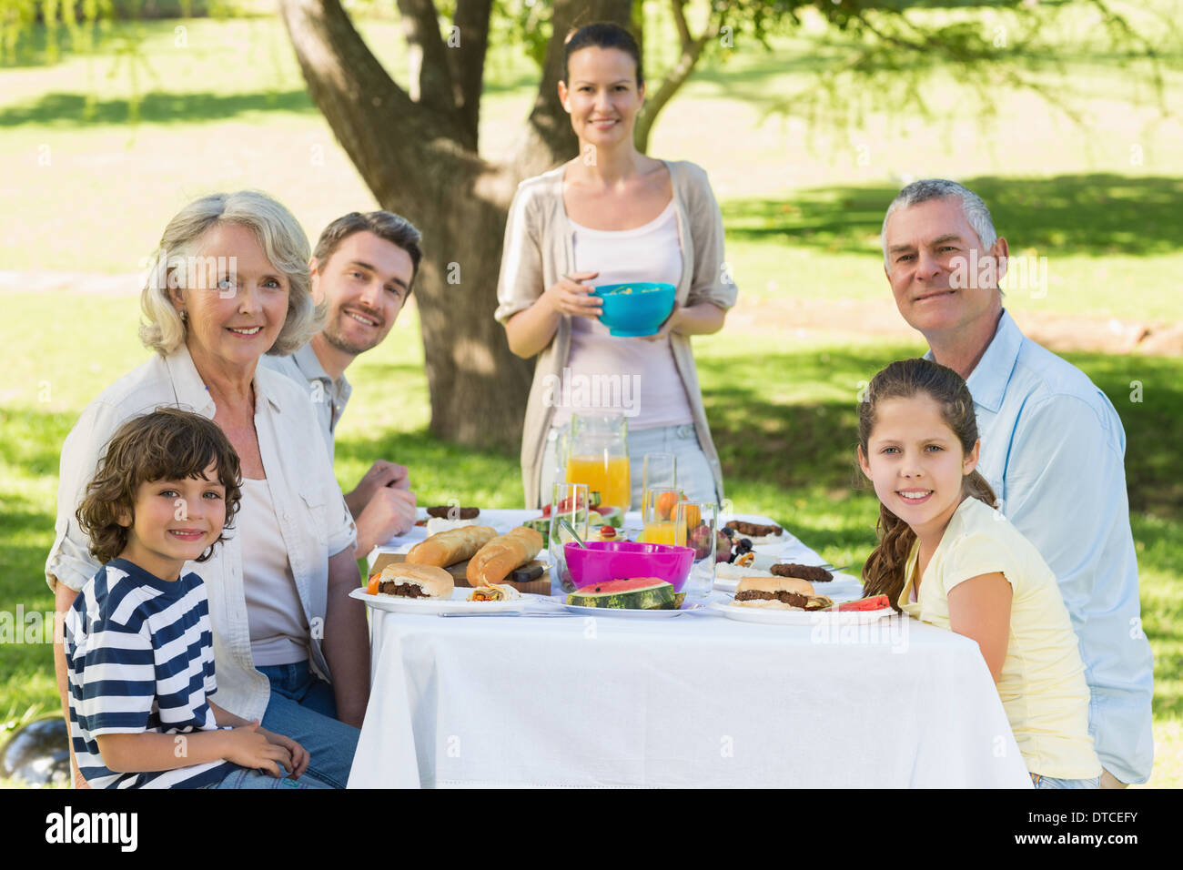 Portrait of an extended family having lunch in the lawn Stock Photo - Alamy