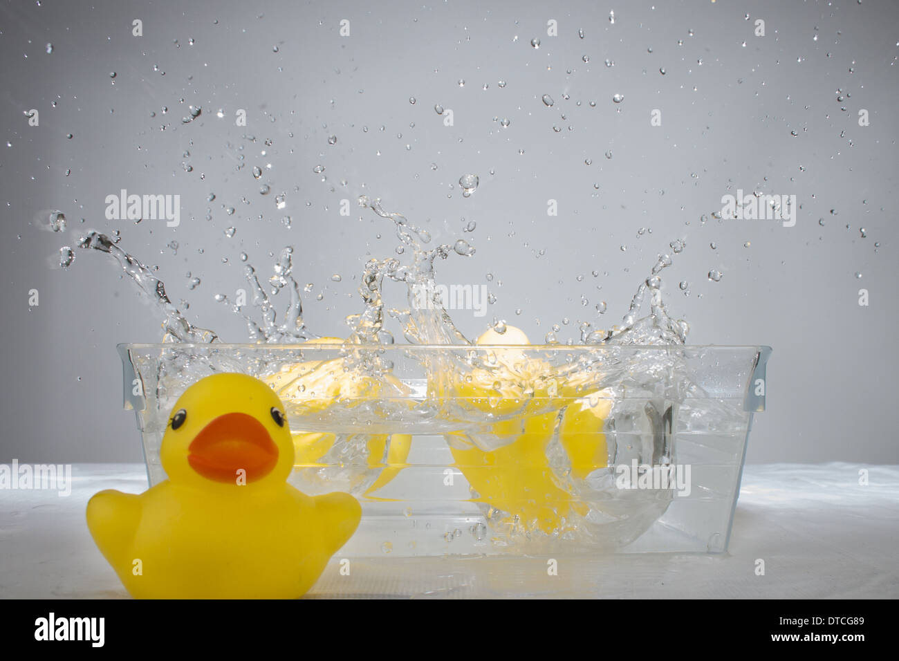 Duck water splash hi-res stock photography and images - Alamy