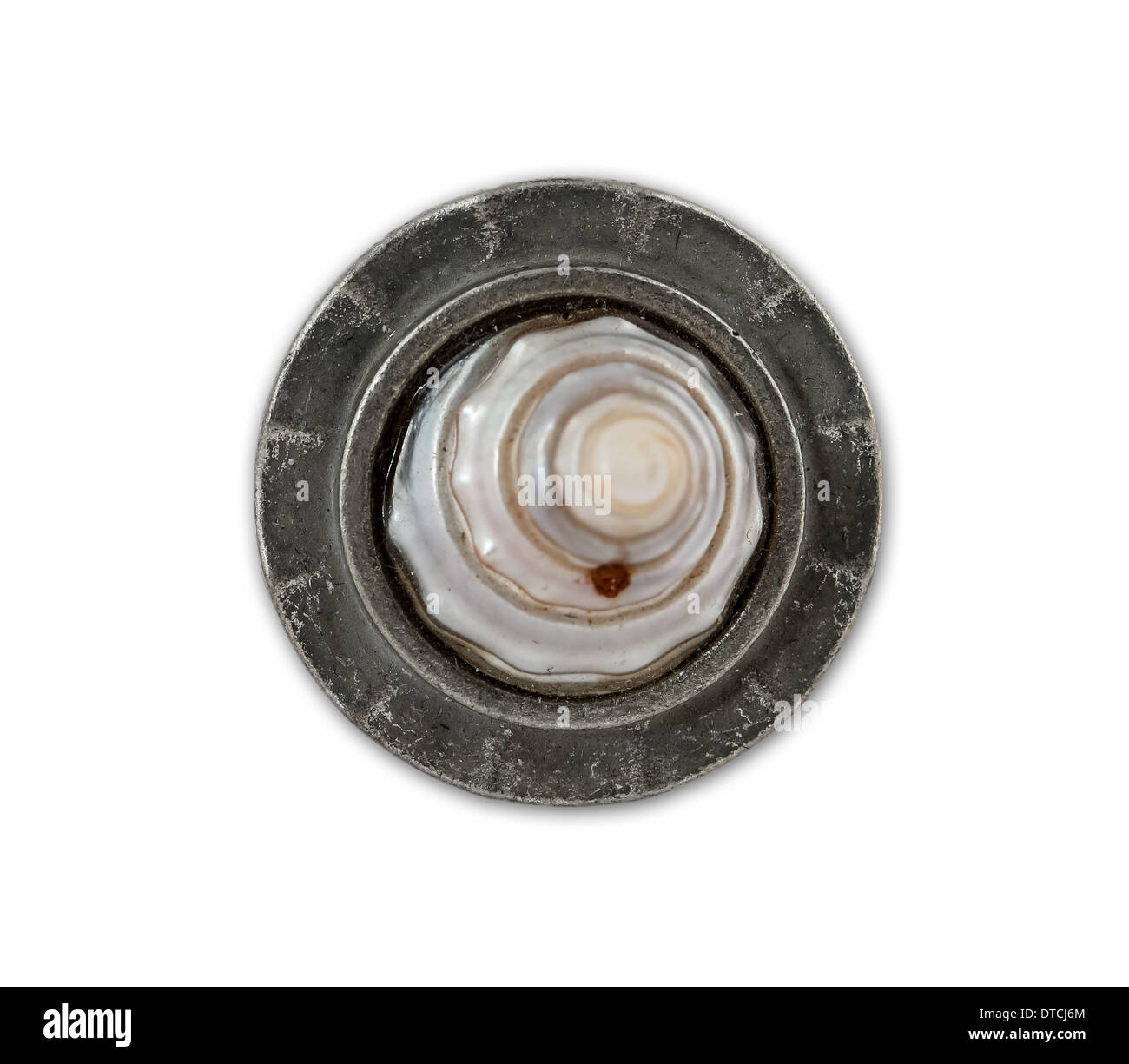 Shell ring hi-res stock photography and images - Alamy