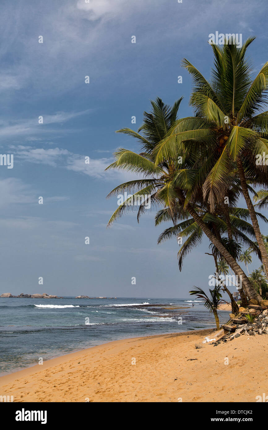 Negombo beach, Sri Lanka Stock Photo - Alamy
