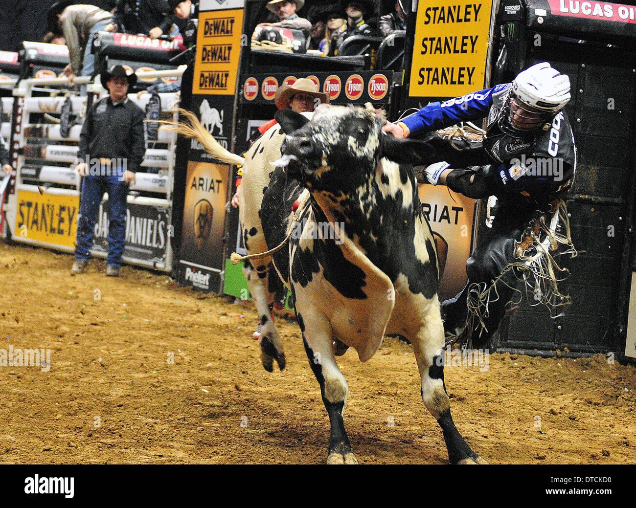 Jason and bull hi-res stock photography and images - Alamy