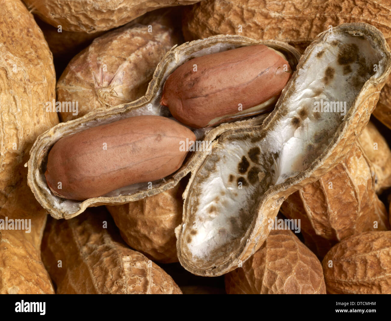 Open peanut hi-res stock photography and images - Alamy