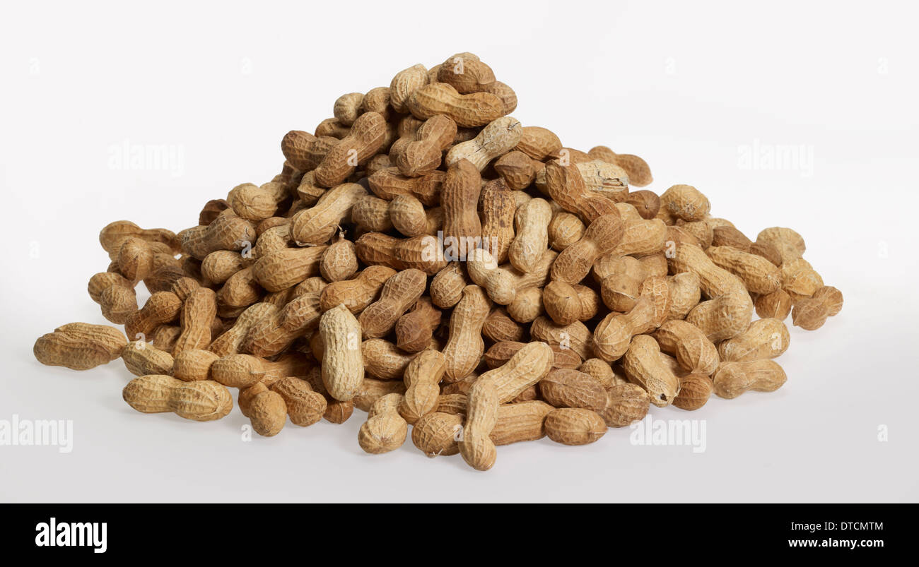 pile of unpeeled peanuts in light back Stock Photo - Alamy