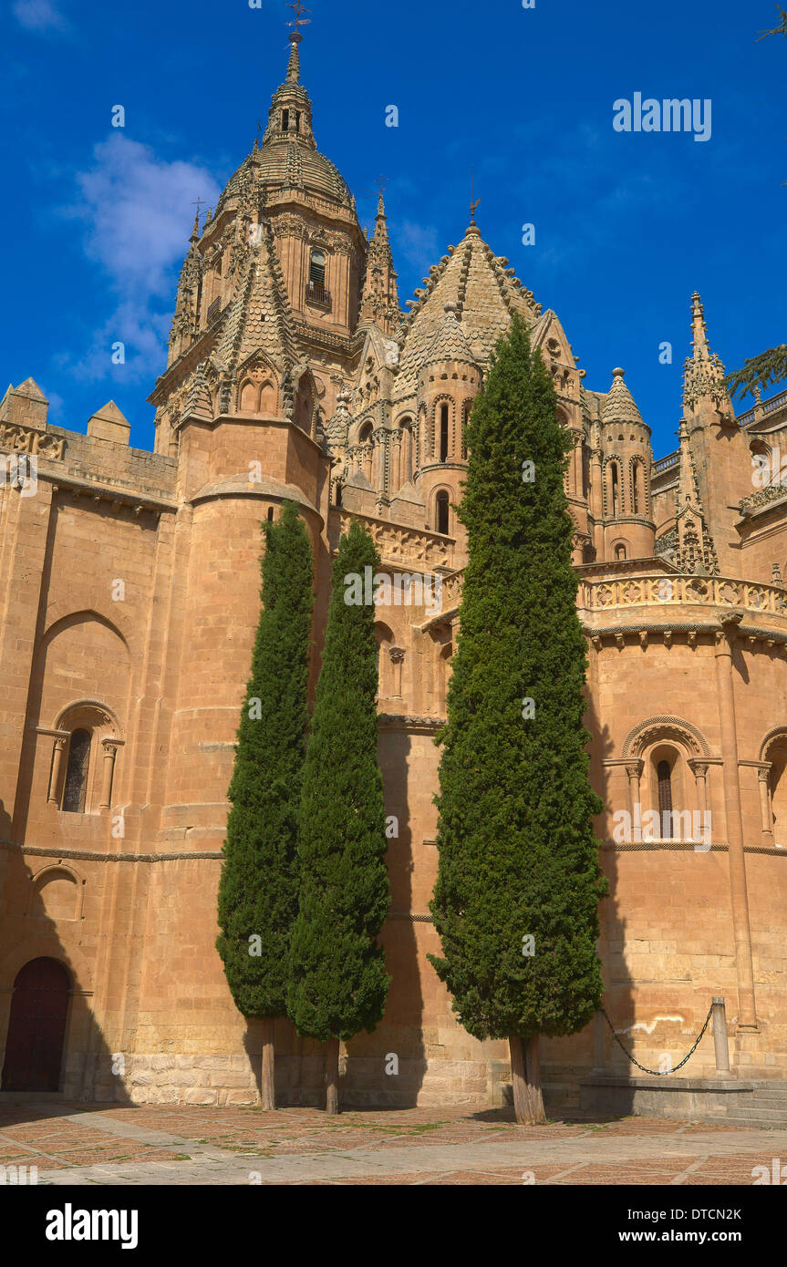 Cathedral, Salamanca, Old Cathedral, Via de la Plata, Silver Route ...