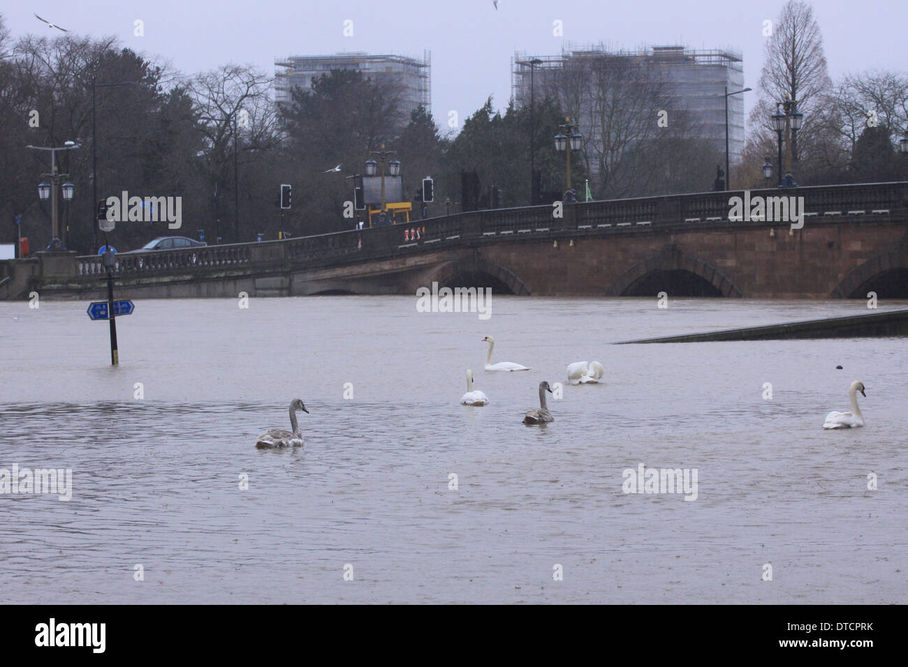 Worcester swans hi-res stock photography and images - Alamy