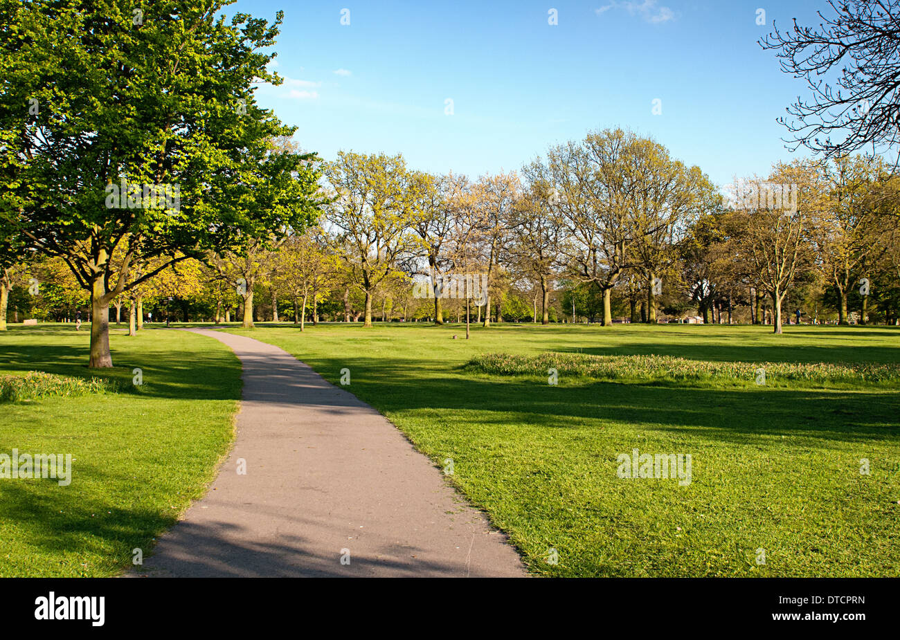 park alley in London Stock Photo - Alamy
