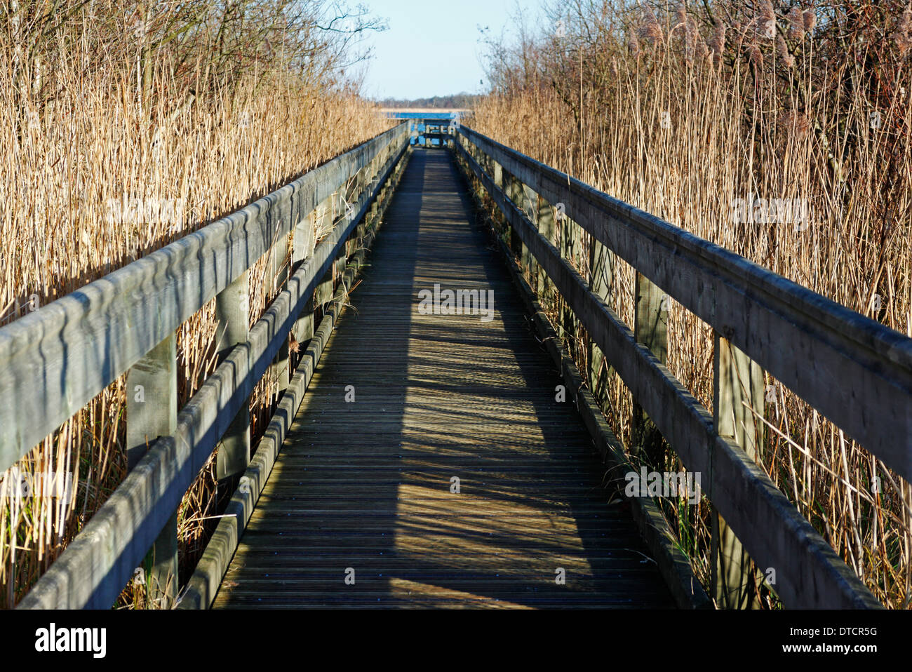 Barton Broad Boardwalk High Resolution Stock Photography and Images - Alamy