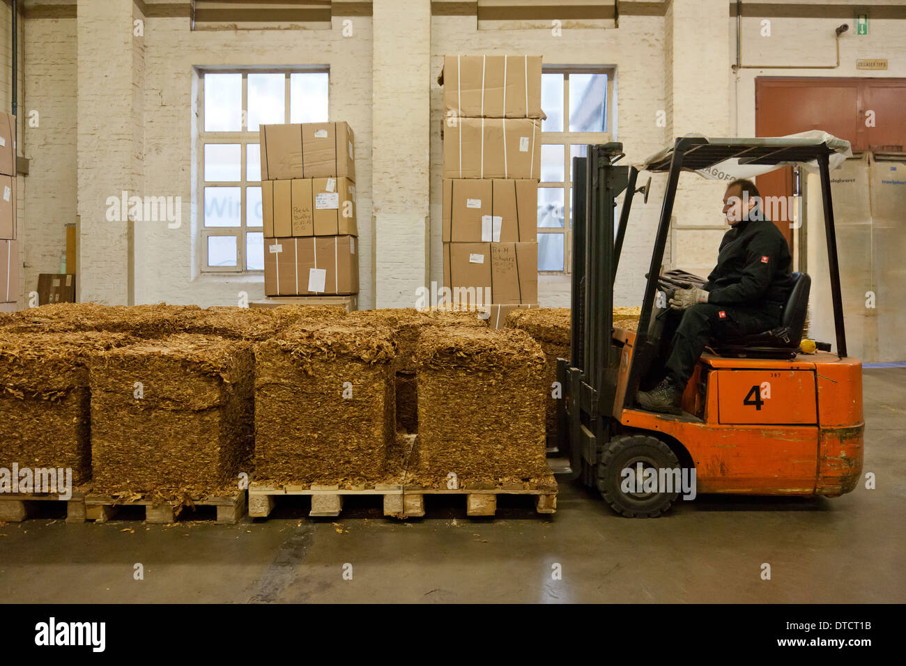 Berlin, Germany, production of tobacco in the Planta Tobacco ...