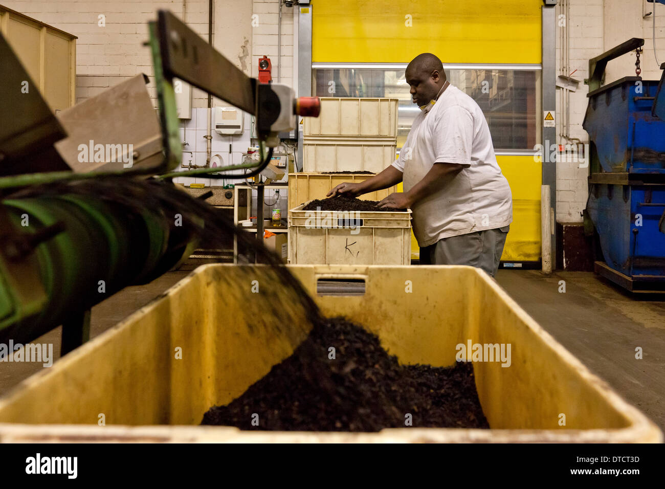 Berlin, Germany, production of tobacco in the Planta Tobacco ...
