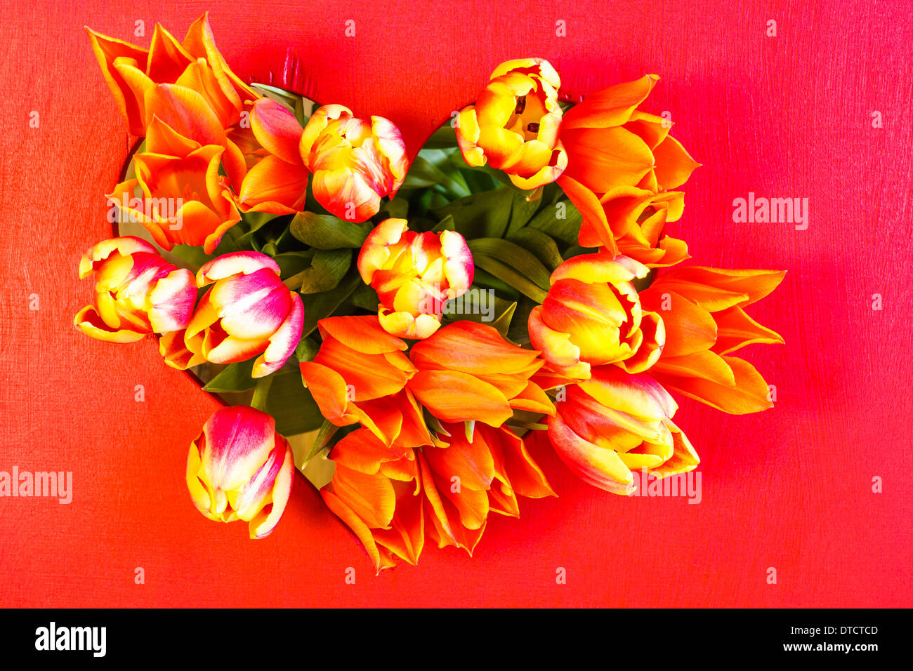 Love tulips hi-res stock photography and images - Alamy