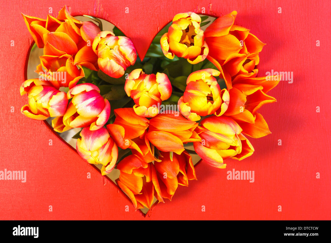 Love tulips hi-res stock photography and images - Alamy