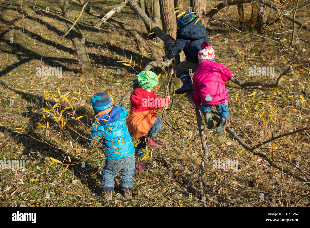 Berlin, Germany, children climb a tree Stock Photo - Alamy