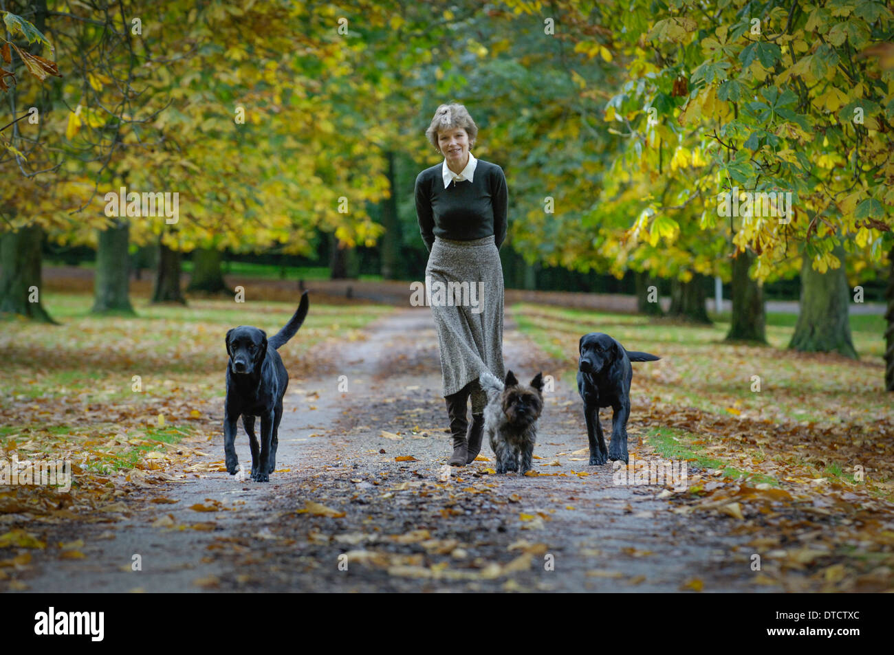 Garrowby estate hi-res stock photography and images - Alamy