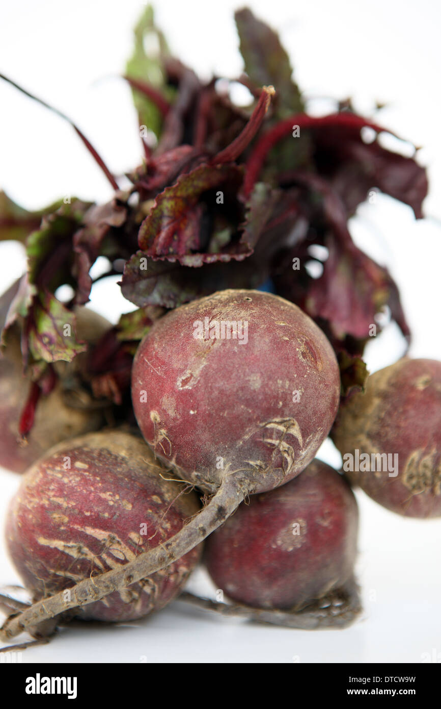 Beetroot on a white background Stock Photo - Alamy