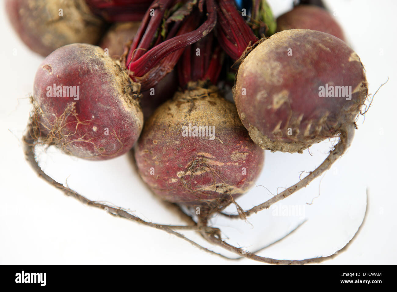 Beetroot on a white background Stock Photo - Alamy