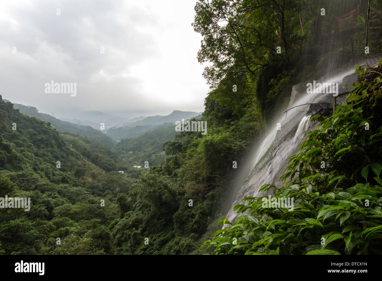 Taiwan forest hi-res stock photography and images - Alamy