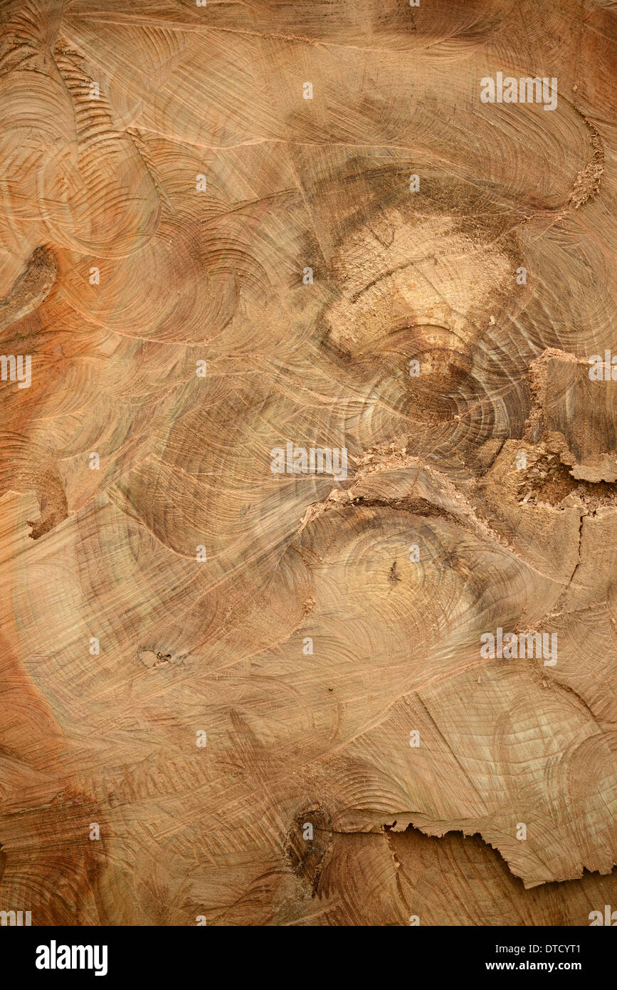 Cut wood texture Stock Photo - Alamy