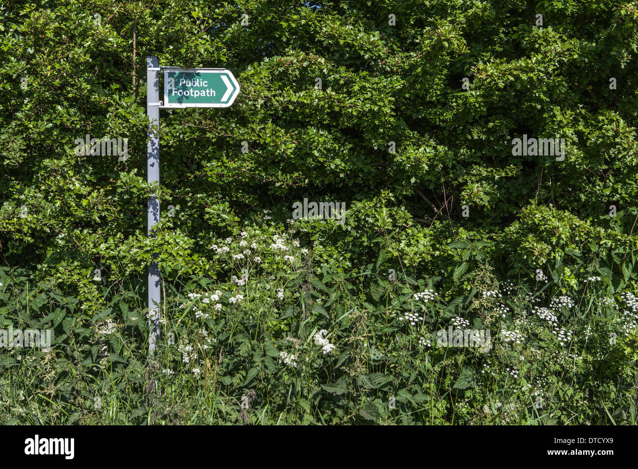 Overgrown footpath uk hi-res stock photography and images - Alamy