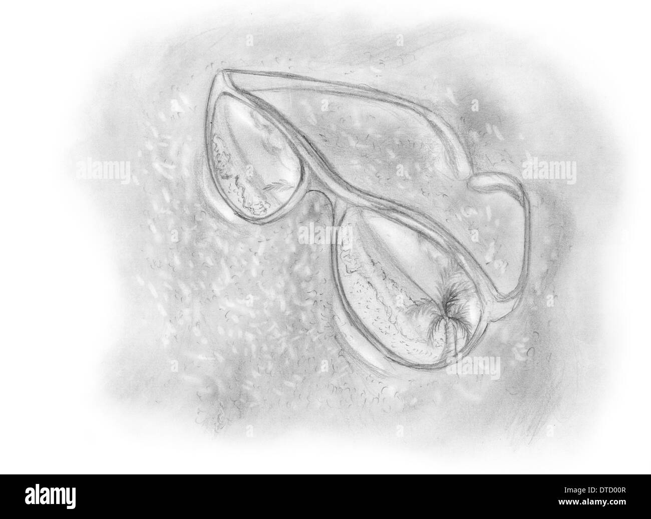 sunglasses with reflection of sea. pencil drawing Stock Photo - Alamy