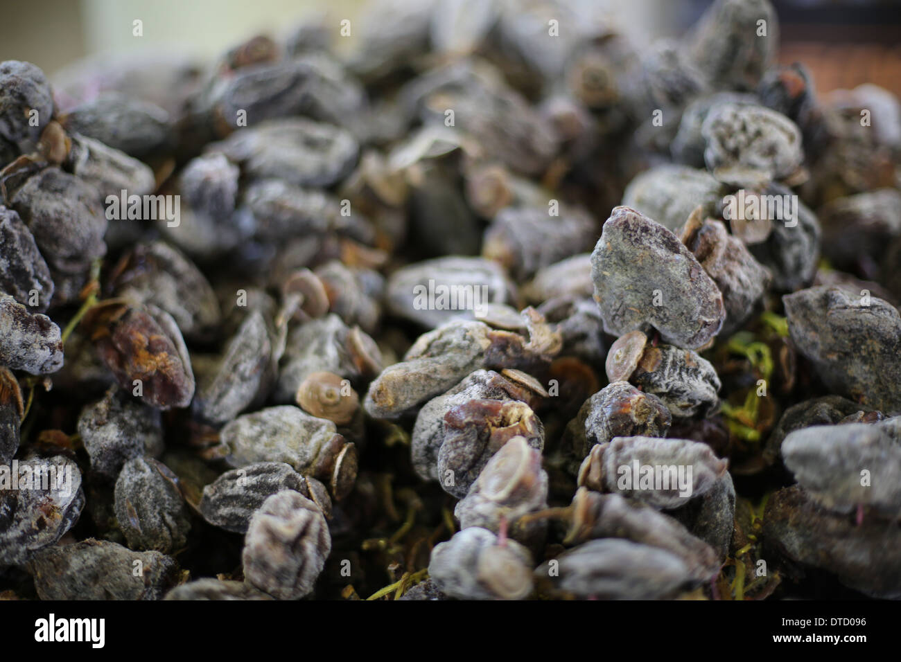 Hurma hi-res stock photography and images - Alamy