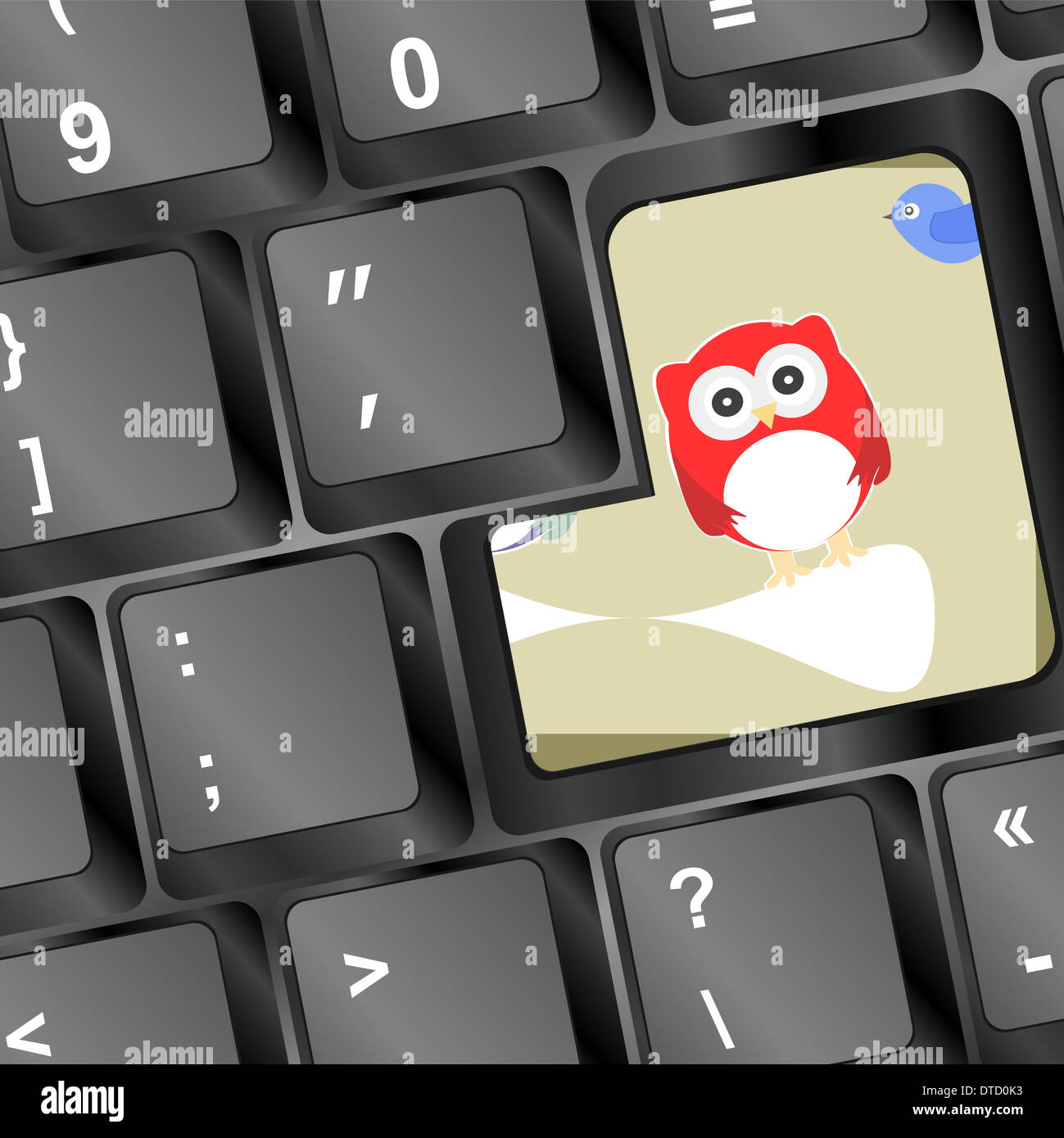 owl on computer keyboard key with blue birds Stock Photo - Alamy