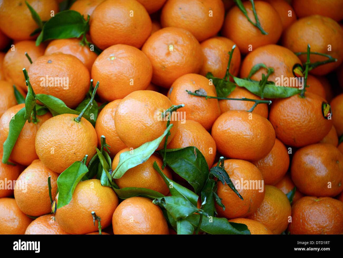 Pile fresh mandarine fruit hi-res stock photography and images - Alamy