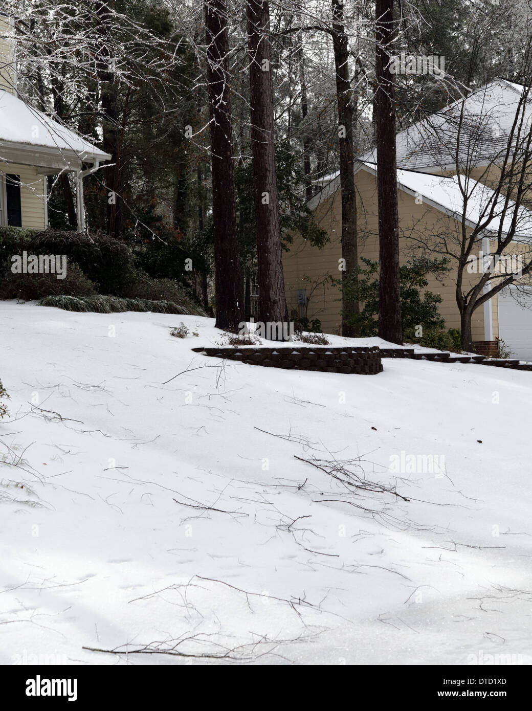 Columbia, South Carolina, USA. after freek snow and ice storm 12/02/14 ...