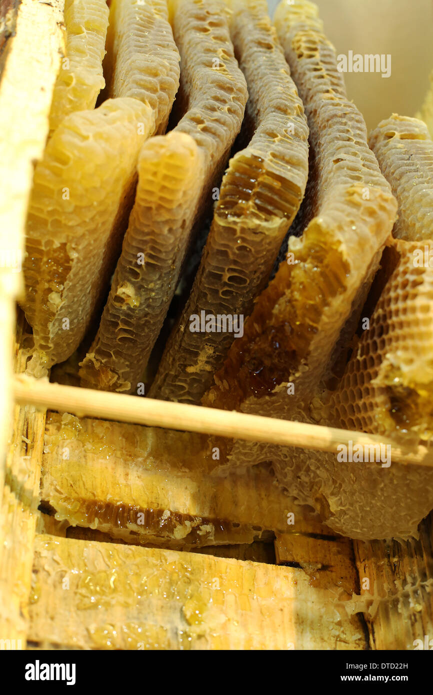 Organic Honey in Turkey Stock Photo - Alamy