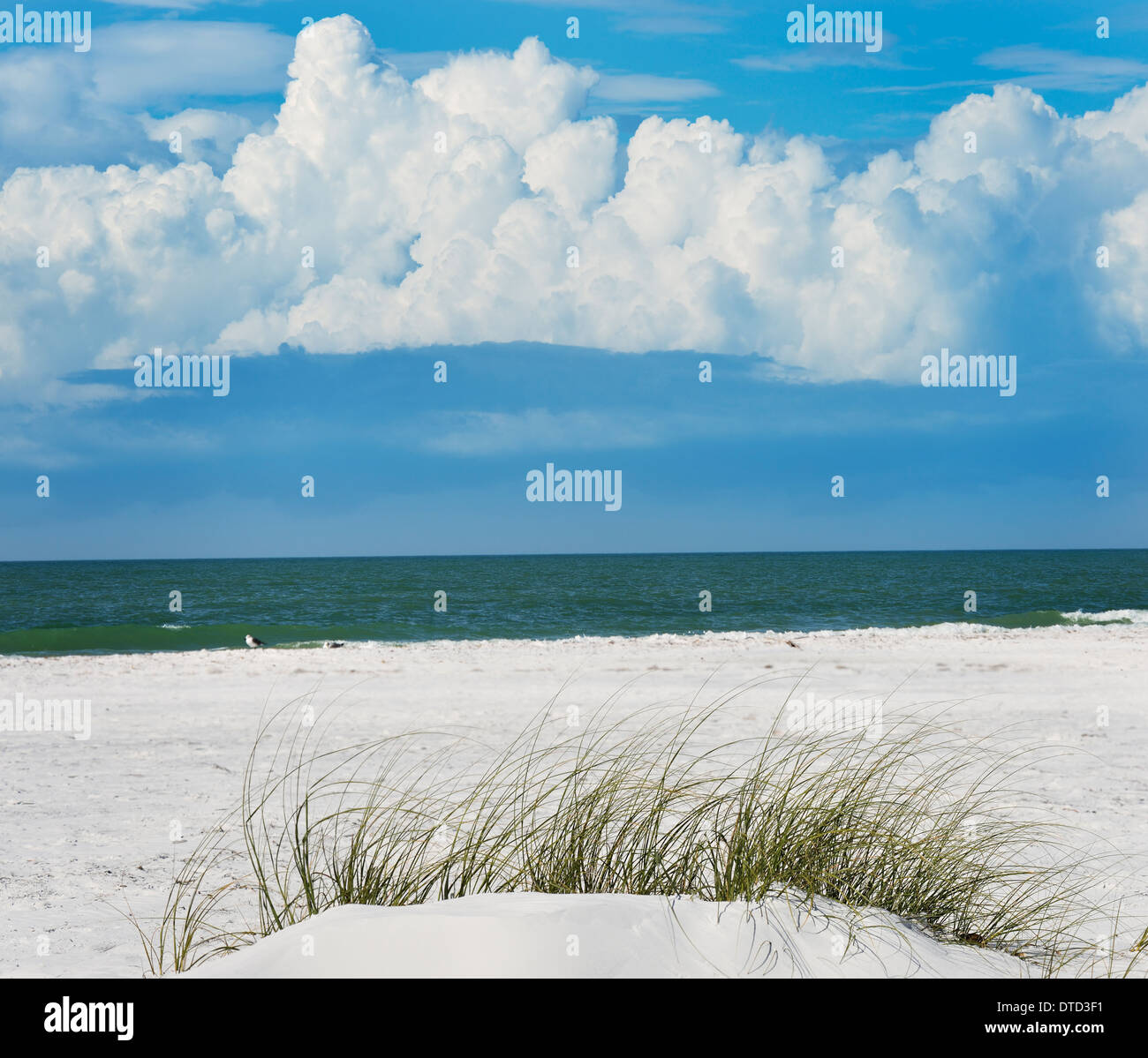 Dunes ocean landscape coast dunes hi-res stock photography and images ...